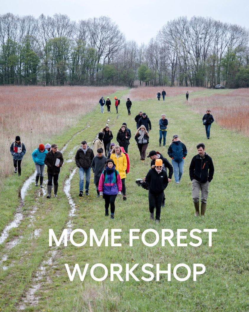 MOME FOREST WORKSHOP - e-élet - UNIversum